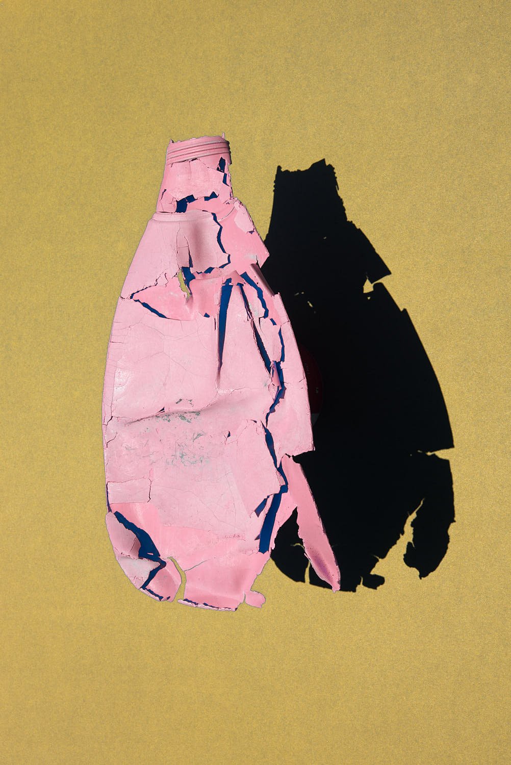 Thirza Schaap - PHROOM